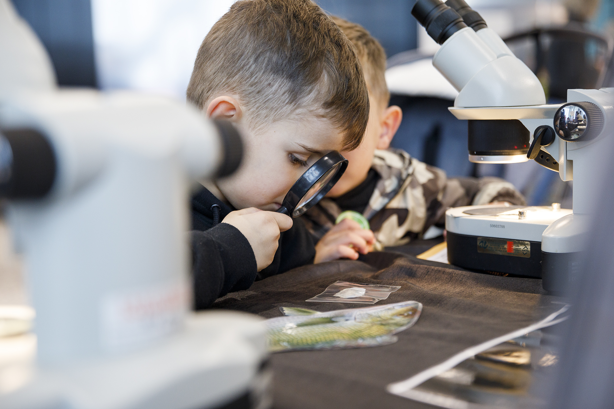 Biggest Science Lab Ever Western Australian Museum